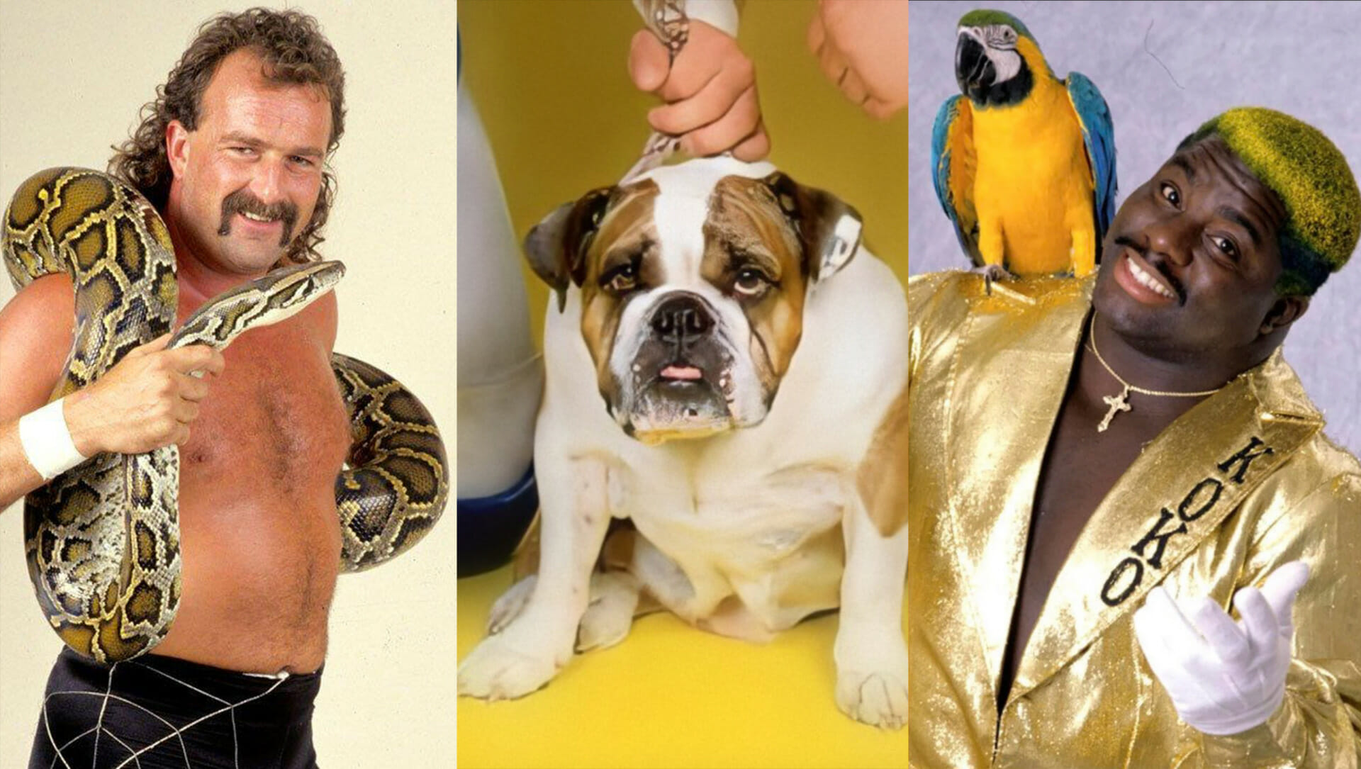 Chilling Stories on the Animals in Professional Wrestling