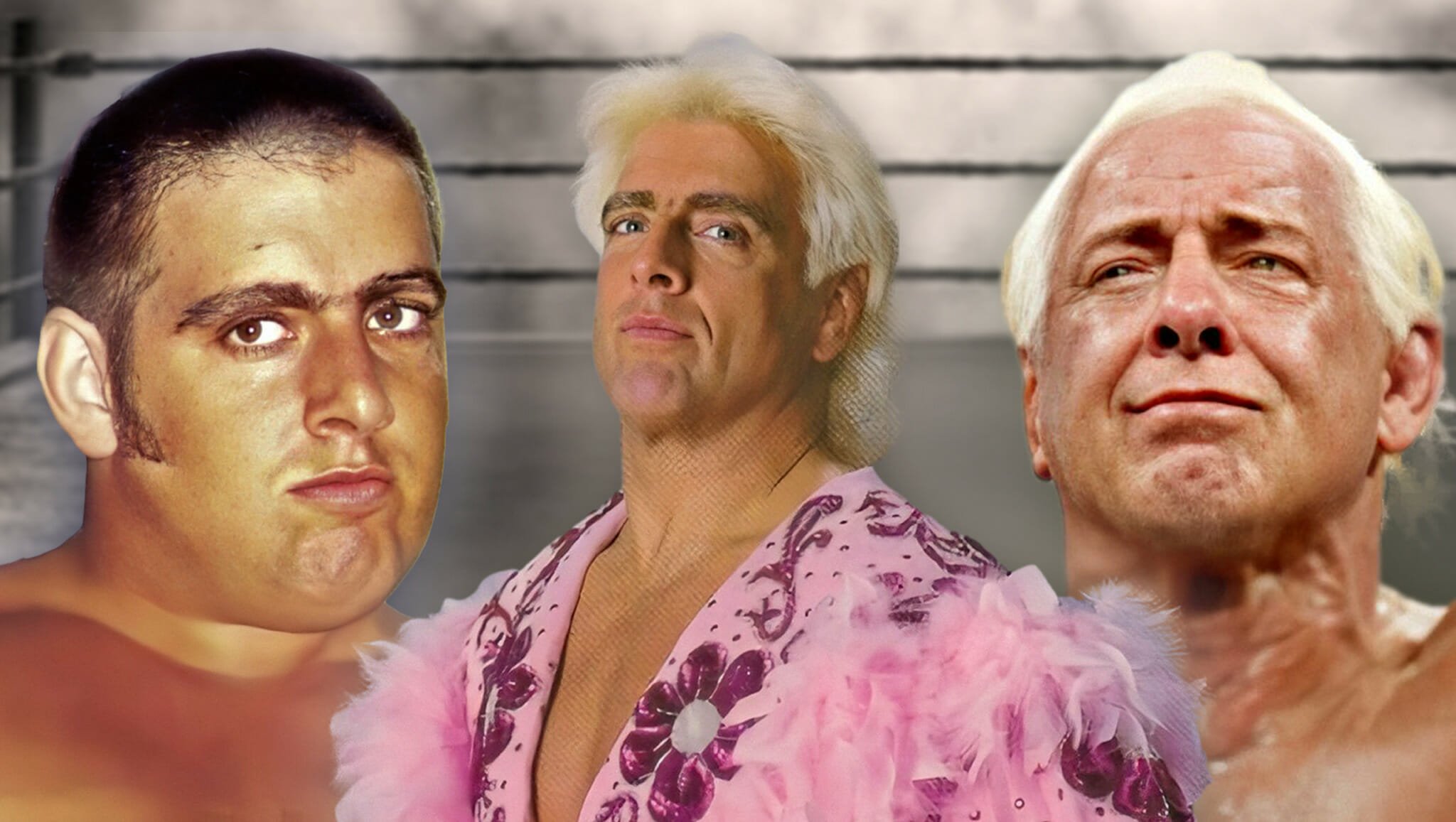 Ric Flair: The Last Real World Champion - An Honest Review - Pro ...