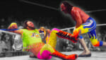 Randy Savage and Jake Roberts Infamous Snake Bite Incident