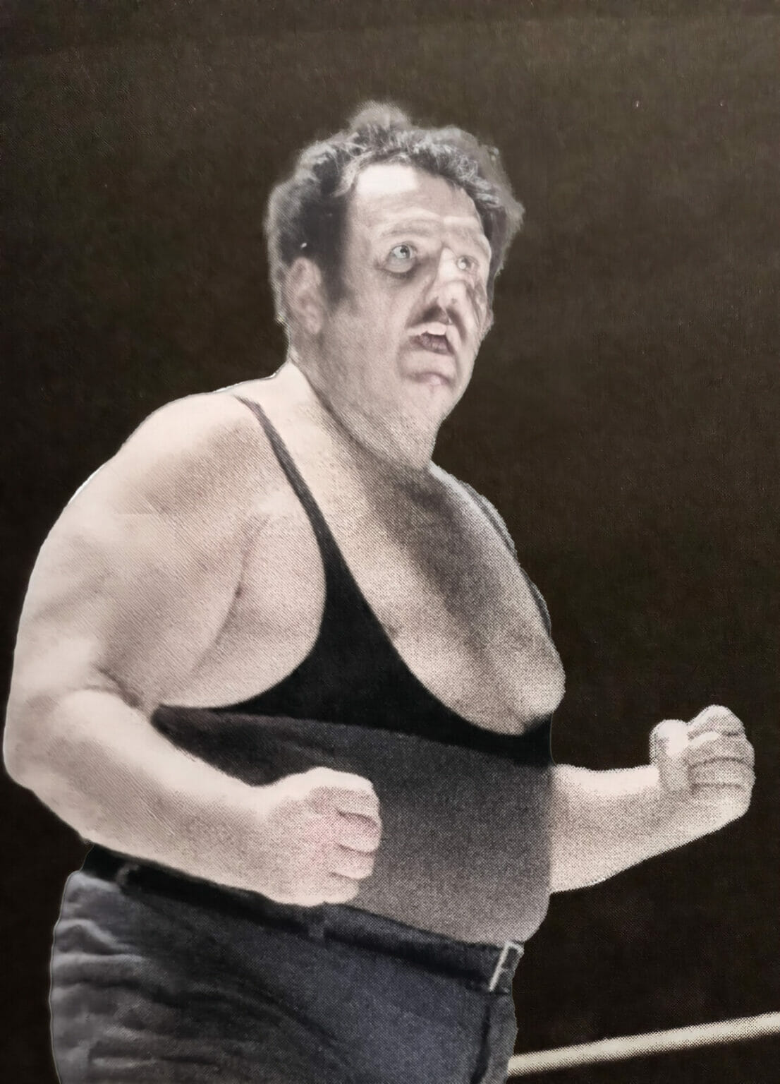 World Wrestling Association: WWA Indianapolis Wrestling Territory