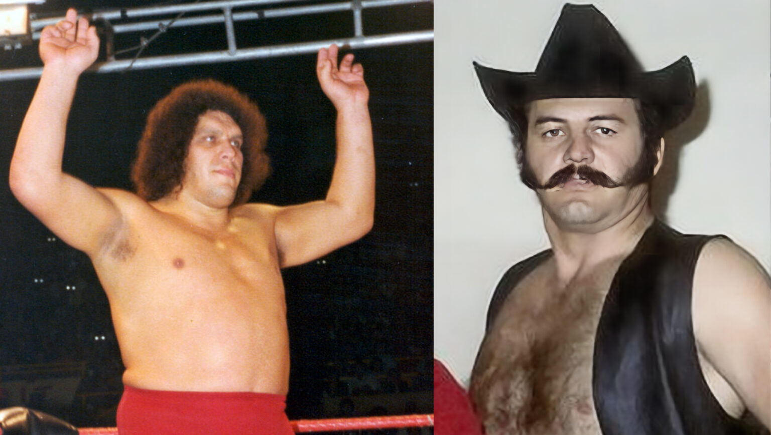 Witnessing History: Andre the Giant's 12 Best Matches - Pro Wrestling ...