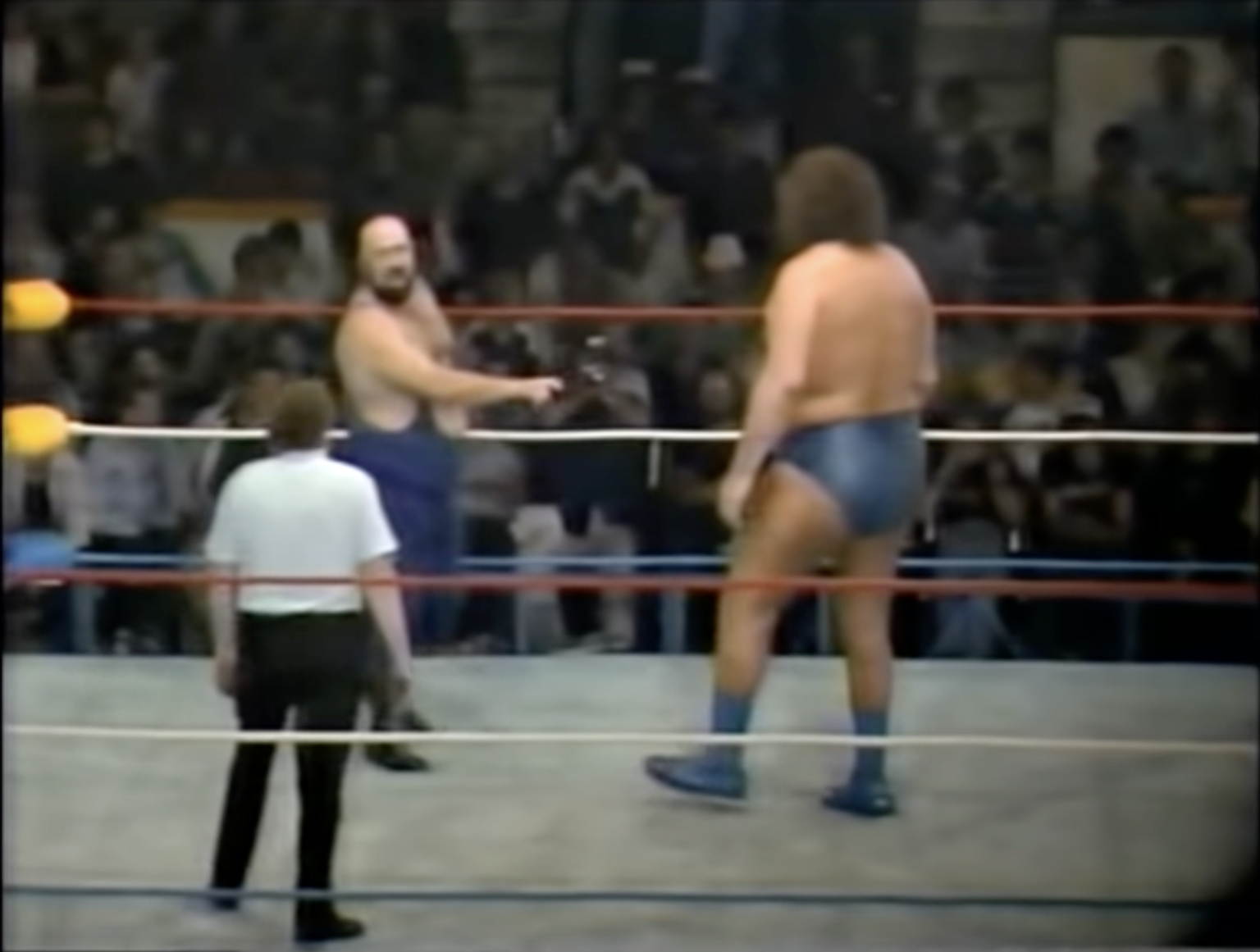 Witnessing History: Andre the Giant's 12 Best Matches - Pro Wrestling ...