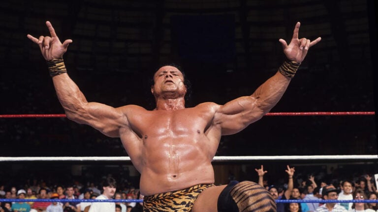 21 Best Old-School WWE Wrestlers of All Time, Ranked