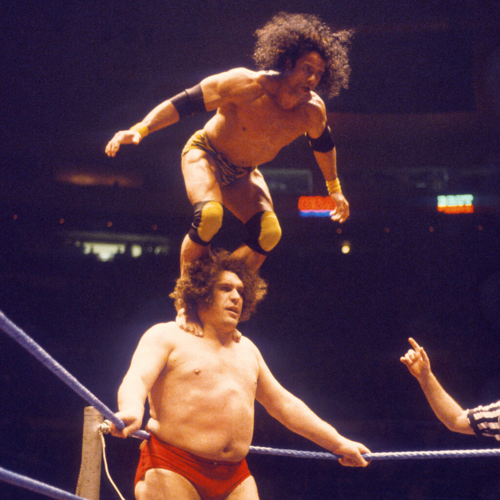 Witnessing History: Andre the Giant's 12 Best Matches - Pro Wrestling ...
