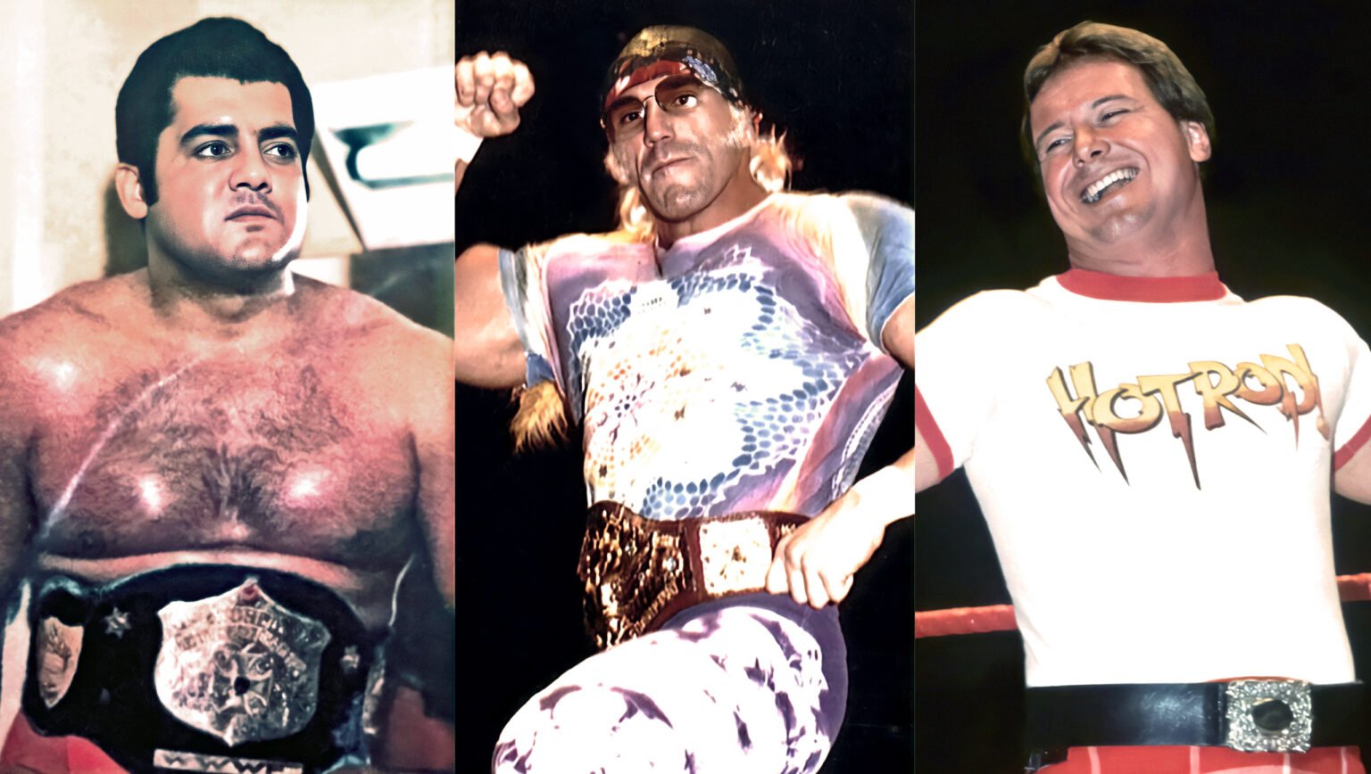 Lists - Pro Wrestling Stories