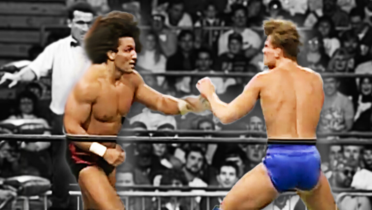 Alex Wright and Paul Roma: When Pro Wrestling Turned Real - Pro ...