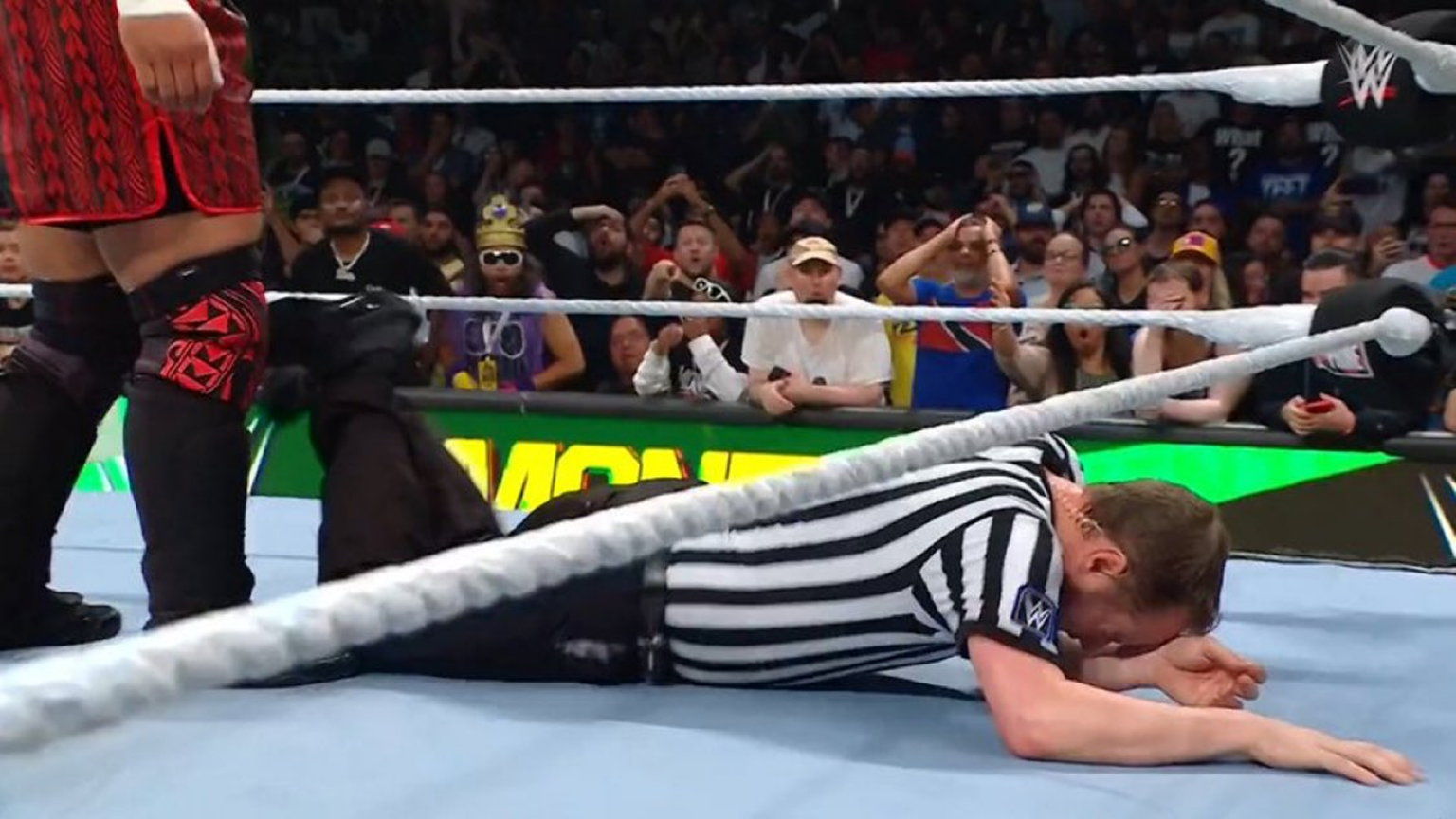 Wrestling Referees: Hidden Secrets Behind the Stripes