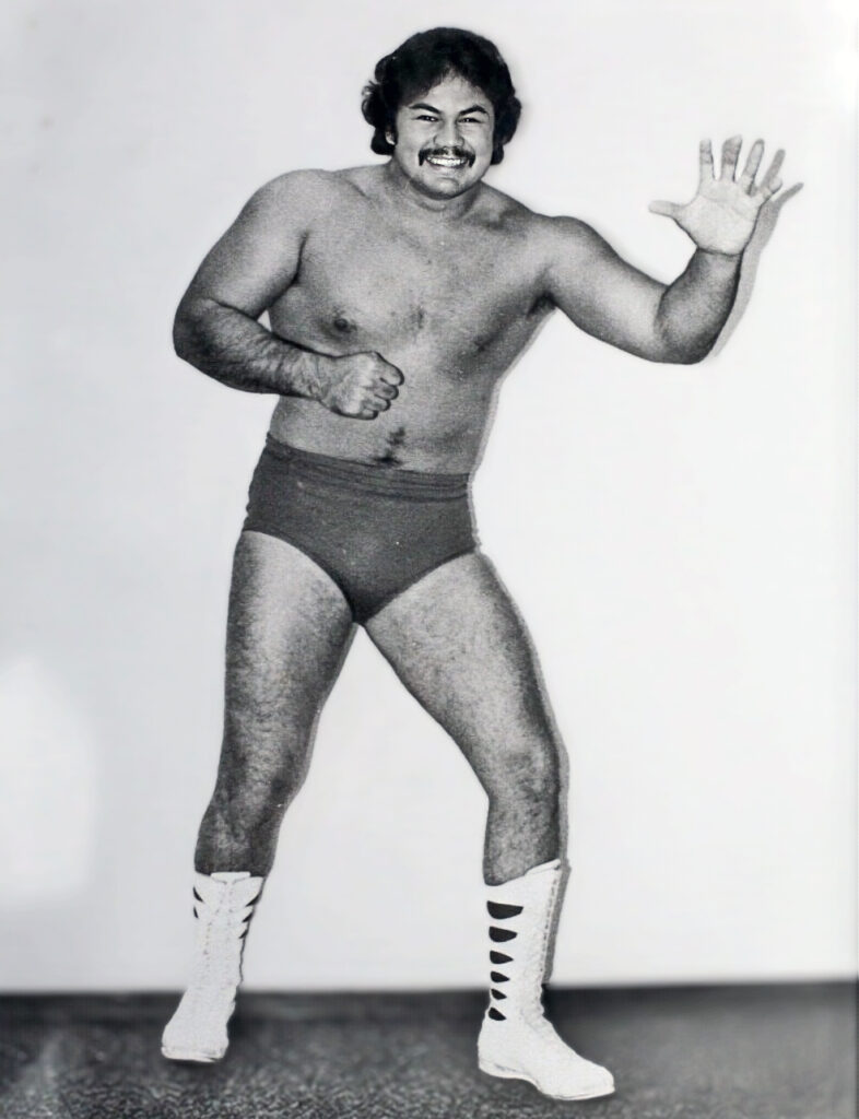 Southwest Championship Wrestling: The Wrestling Territories